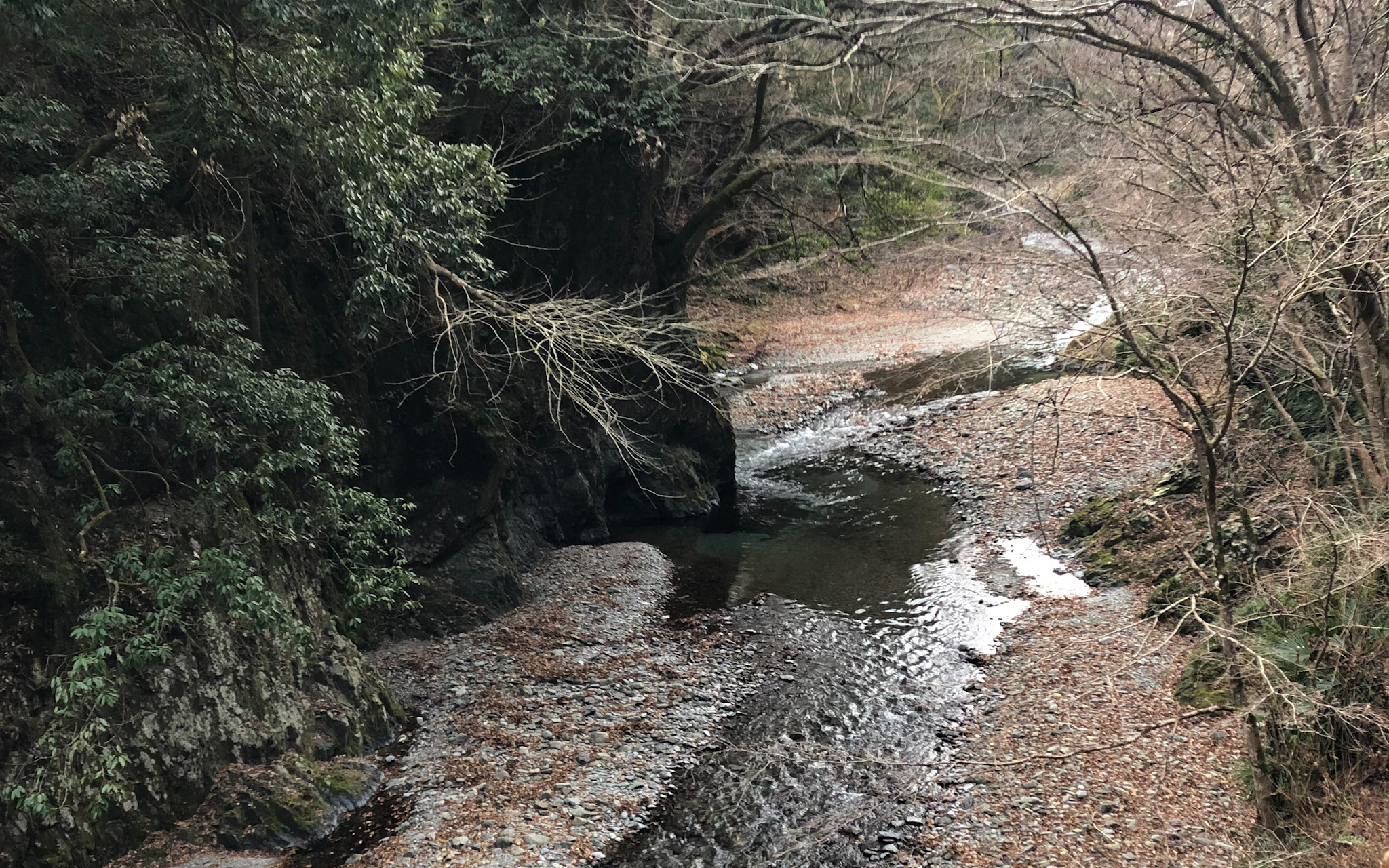 Trout Fishing in Japan | www.tyhasegawa.com
