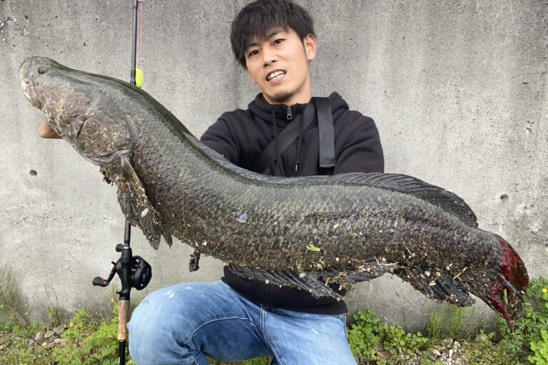 Snakehead Fishing in Japan | www.tyhasegawa.com